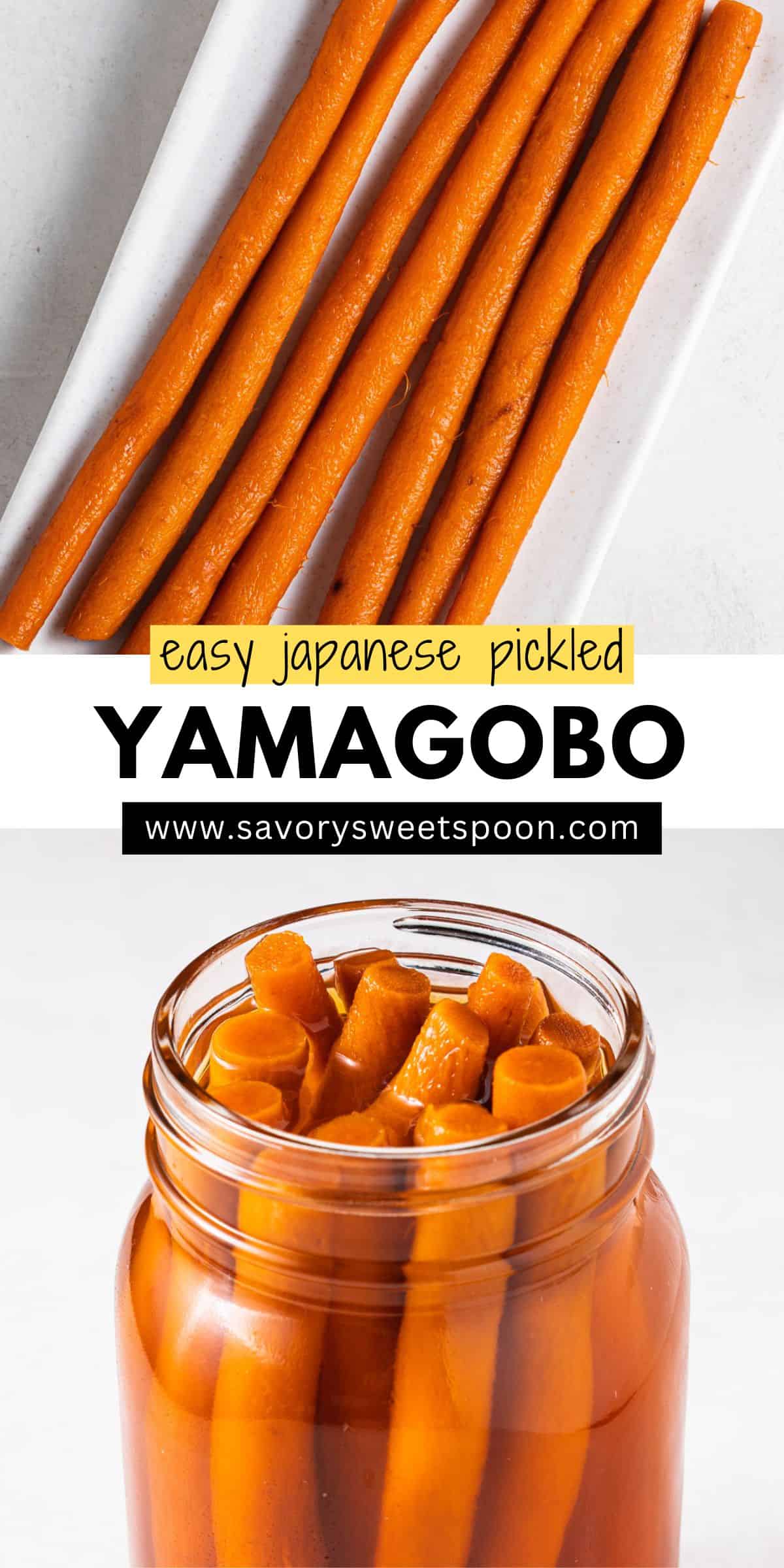 Yamagobo (Japanese Pickled Burdock Root) | Savory Sweet Spoon